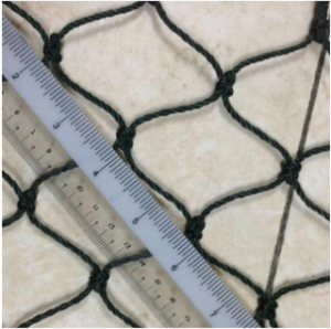 Oceangate Trading Pte Ltd - Net Supplier Singapore